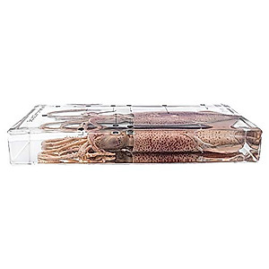 Squid Cuttlefish Conformation Specimen Paperweights Science Classroom Acrylic Block Specimens Sea Life Specimen for Science Education