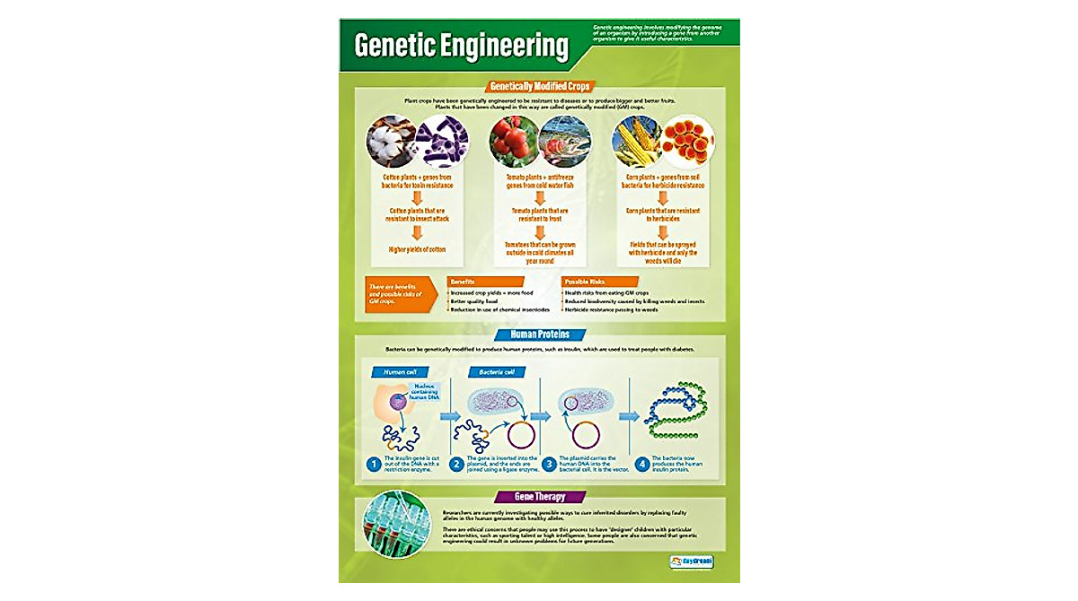 Daydream Education Genetic Engineering Poster for Classrooms