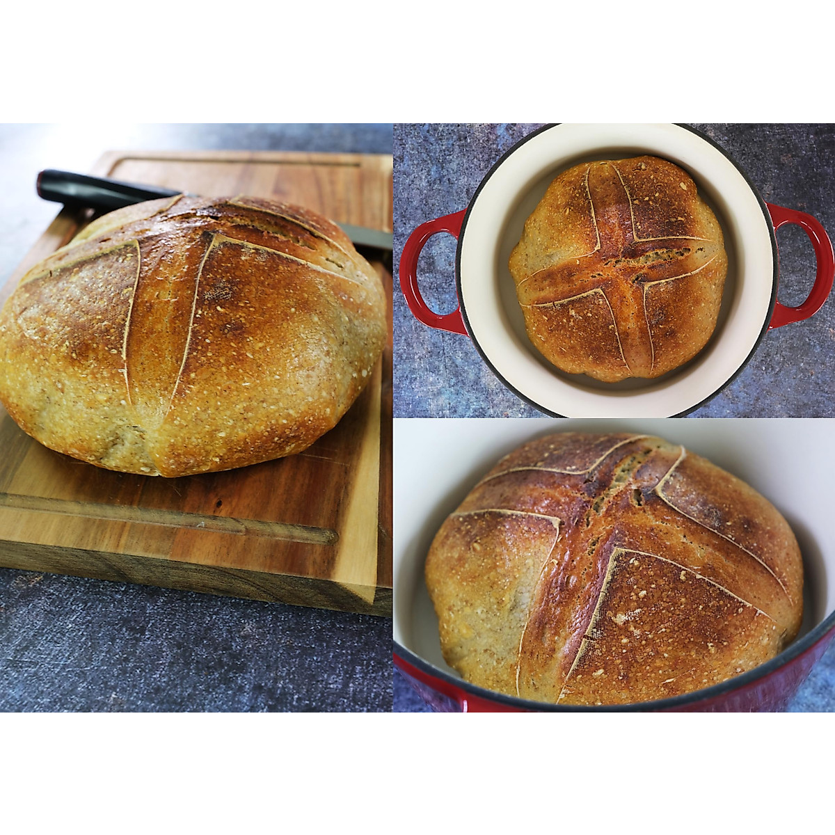 Dutch Oven Enameled Cast Iron Pot - Cocotte with Dual Handle and Cover Casserole Dish - Round Red 10.23" (26 cm)