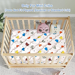 Mini Crib Mattress 38" x 24" x 4"- Firm Support and Comfort Premium Foam,Noiseless and Odorless,Hypoallergenic Mini Crib Mattress,Fits Mini and Portable Cribs,Dual Sided with Soft Breathable Fabric