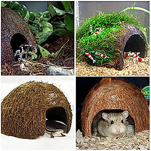 SunGrow Coconut Hut for Crested Gecko, 5x3 Inches Reptile Climbing Hide, Leopard Gecko Tank Cage Habitat Accessories, Smooth-Edged Coconut Shell, for Exercise, Crawling, Perching and Basking Spot