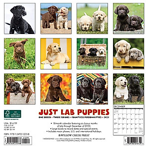 Just Lab Puppies 2021 Wall Calendar (Dog Breed Calendar)