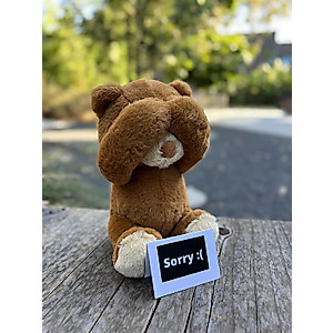 Cutest I'm Sorry Gift for Her & Him - The I'm Sorry Teddies - Embarrassed Adorable Super Soft Stuffed Animal Plush Toy - Unique Cute Forgive Me Apology Teddy Bear Gift for Kids and Adults - Brown