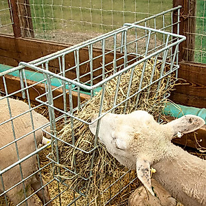 Premier X-Tuff Single Sided Hay Feeder
