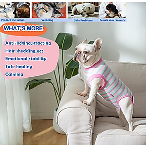 Wabdhally Dog Surgery Recovery Suit,Surgical Recovery Female Spay Suit for Small Dogs Cats,Surgery Recovery Multi Pink Onesie XS