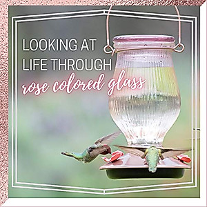 Perky-Pet 9104-2 Rose Gold Top-Fill Glass Hummingbird Feeder Rose Gold 24 oz Capacity