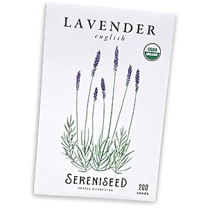 Sereniseed Certified Organic English Lavender Seeds (200 Seeds) – 100% Non GMO, Open Pollinated – Grow Guide