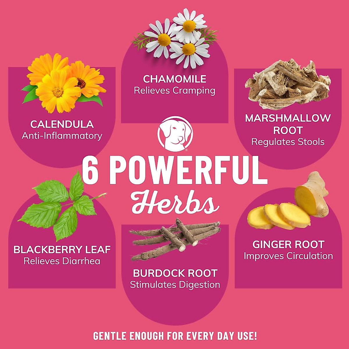 Fido's Digestion Bone Broth for Dogs - Grass-Fed Beef Bone Broth Powder & Organic Herbs - Supports Digestion & Gut Health - Dog Food Topper for Dry Food - 60 Scoops