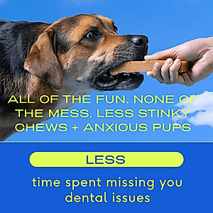 Native Pet Omega Oil for Dogs - Dog Fish Oil Supplements & Yak Chews for Dogs | Pasture-Raised and Organic Yak Cheese Himalayan Churpi Chews | 8 Oz. & 3 Medium Yak Chews