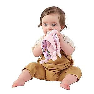 Manhattan Toy Fruity Paws Momo Monkey Baby Soothing Lovie with 100% Natural Rubber Head Teething Toy