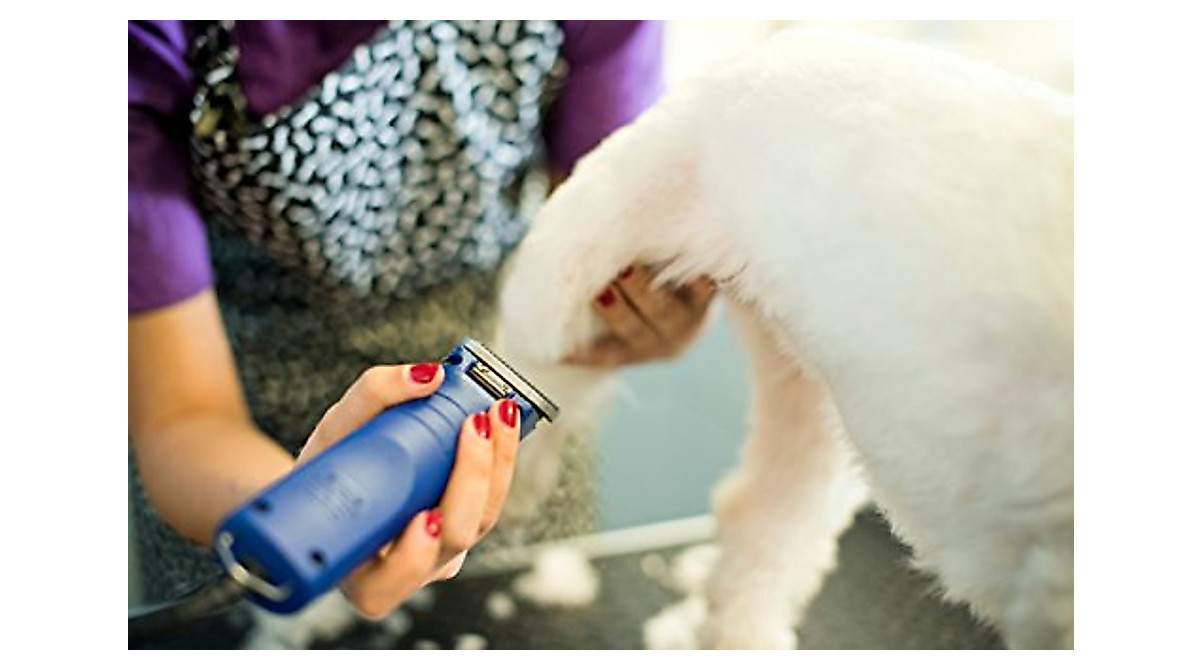 Andis UltraEdge Detachable Blade Clipper – Powerful & Quiet Pet Grooming