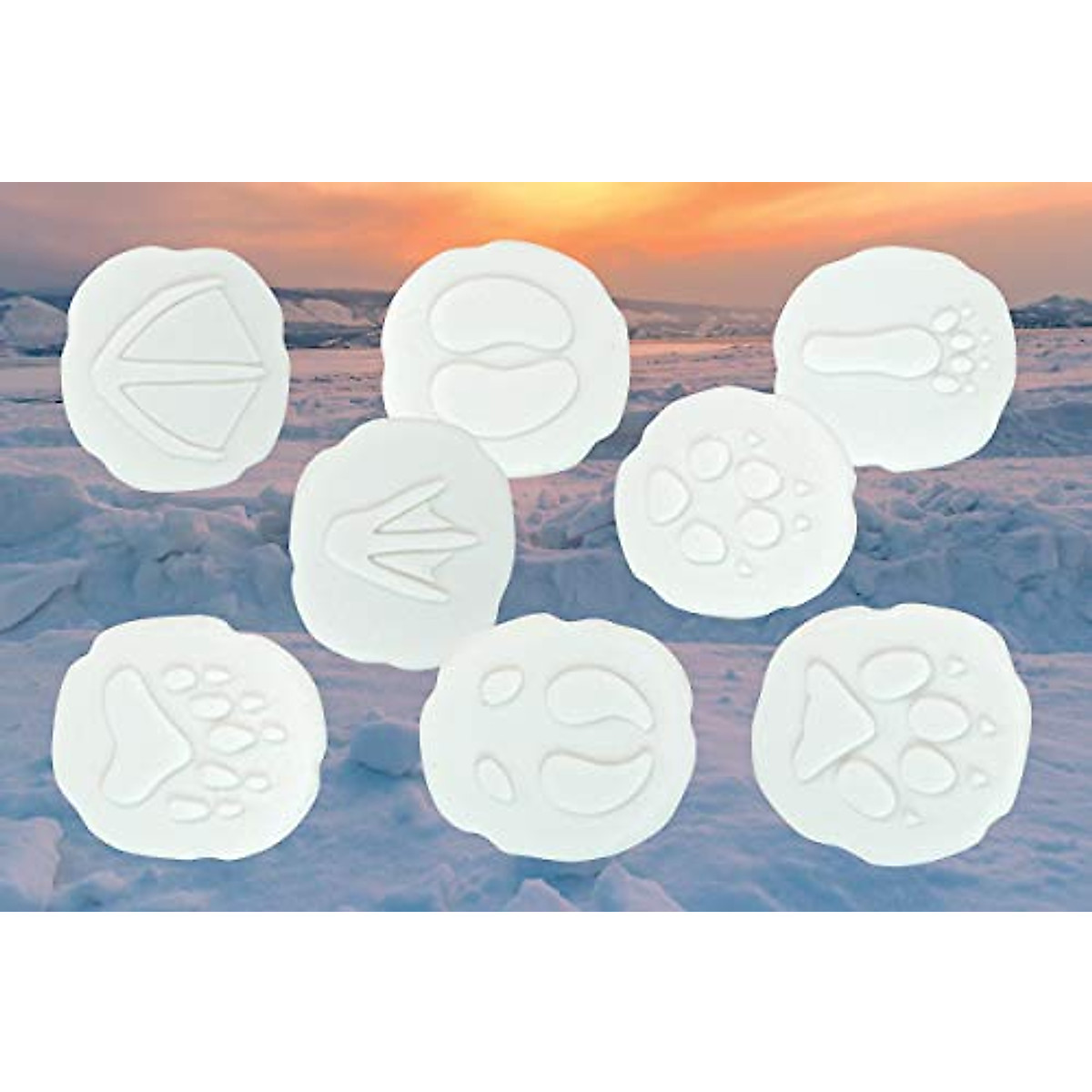 Yellow Door Let's Investigate Polar Footprints, Set of 8