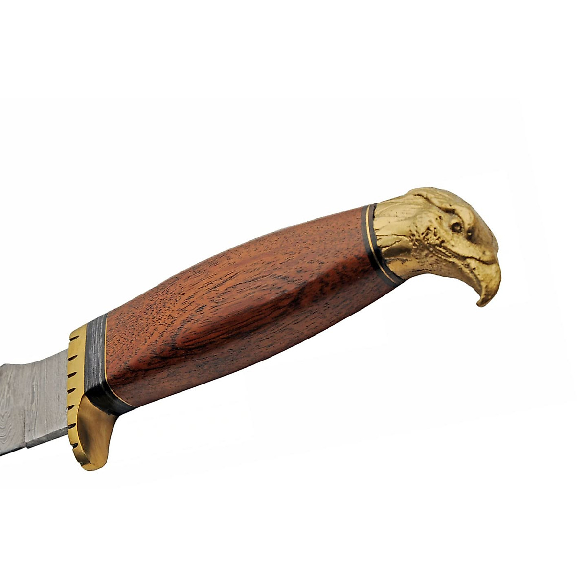 Brass Eagle Head Damascus Steel Blade Wood Handle 11 inch Hunting Knife