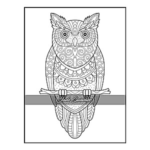 100 Animals: An Adult Coloring Book with Lions, Elephants, Owls, Horses, Dogs, Cats, and Many More!