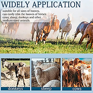 AZUNYYDS Hoof Nipper 14" Horse Hoof Trimmers with Rubber Grip for Goats Sheep Pigs Cattle Horses Heavy Duty Farrier Nippers