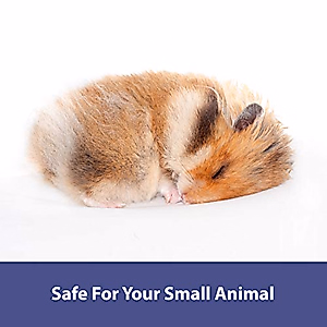 Kaytee Clean & Cozy Natural Small Animal Pet Bedding 49.2 Liters