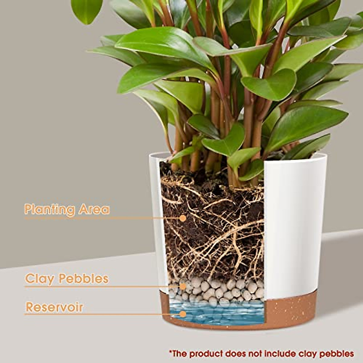 kubvici Planters for Indoor Plants, 8 Inch Plant Pots 2 Pack Flower Pots with Drainage and Saucer for Indoor Outdoor Plants, Plastic Indoor Planter Garden Pot White 8”