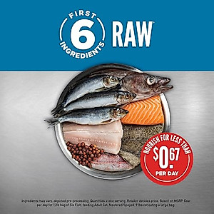 ORIJEN® Dry Cat Food, Grain Free, Premium, High Protein, Fresh & Raw Animal Ingredients, Six Fish, 12lb