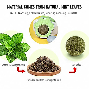 BOXTOHEART 4 Pack Catnip Ball Toys, Edible Organic Balls for Cats and Kittens - Crab Avocado Snail Shapes, Wall Mountable for Engaging Play, Teeth Cleaning, and Hairball Relief (4-Pack-E)