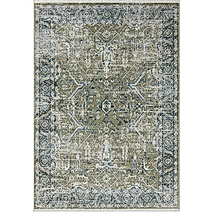 Abani Savoy Collection Area Rug - Intricate Blue/Green Vintage Design 7'9" x 10'2" - Easy to Clean - Durable for Kids & Pets - Non-Shedding - Medium Pile - Soft Feel - Living Room, Bedroom & Office
