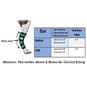 Paw Empire - Pair of Dog Leg Braces, Ultra Supportive, Comfortable, Dual Metal Springs, Canine Hock Brace for Joint Arthritis, Assists Injury & Sprains (Pink Stars, Large)