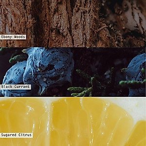 ILLUME North Sky Small Luxe Sanded Mercury Candle