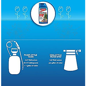 BioAdvanced 3-In-1 Insect, Disease and Mite Control, Concentrate, 32 oz