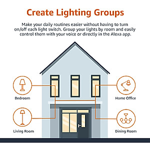 Amazon Basics Smart A19 LED Light Bulb, Color Changing, 9W (60W Equivalent), 800LM, Works with Alexa Only, 2.4 GHz Wi-Fi, No Hub Required, 1-Pack