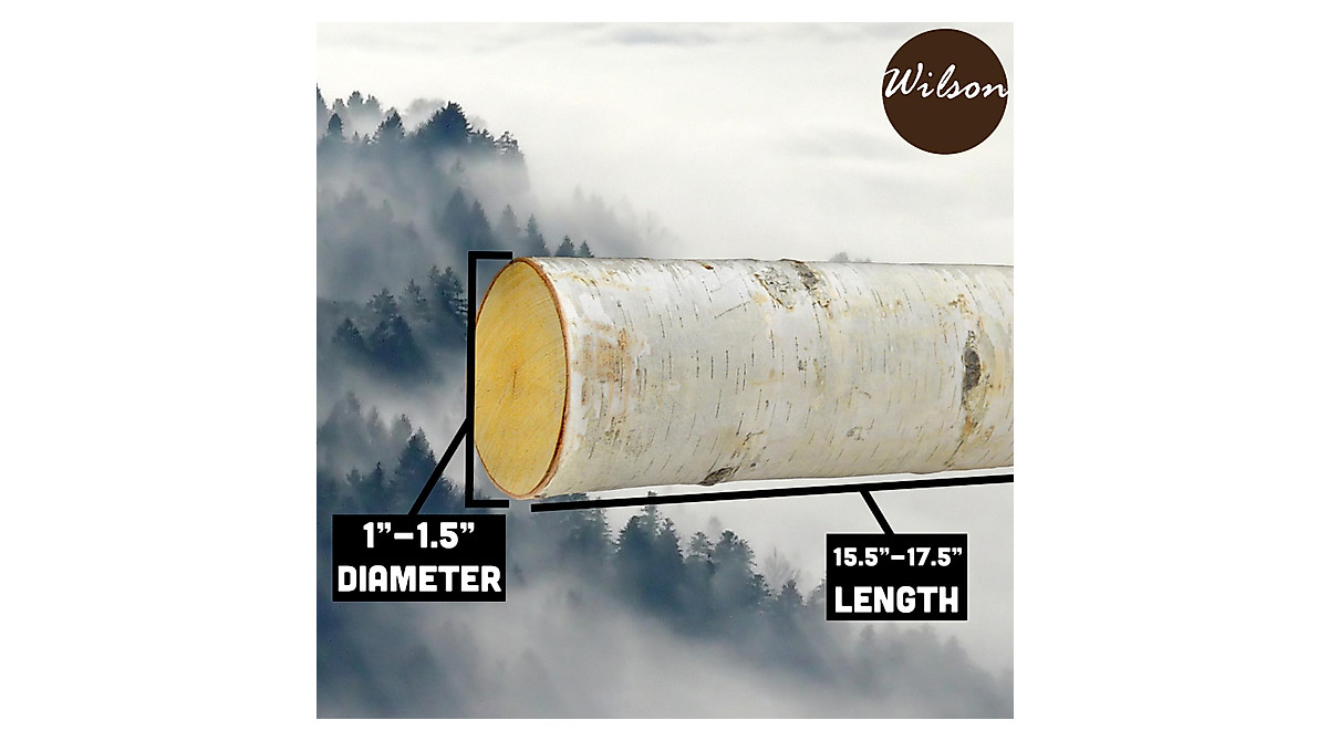 Wilson Decorative White Birch Logs, Natural Bark Wood Home Décor (Set ...
