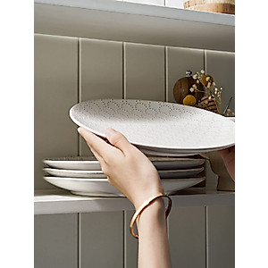 LE TAUCI Dinner Plates 10 Inch, Ceramic Dish Set for Kitchen, Embossed Serving Dish, Microwave Oven Dishwasher Safe, For Housewarming or Wedding - Set of 4, Arctic white