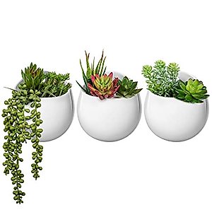Mkono Wall Planter with Artificial Plants, Decorative Potted Fake Succulents Picks Assorted Faux Succulent in Modern Ceramic Hanging Plant Pot Vase for Home Decor, Set of 3