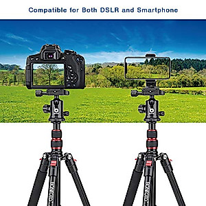BONFOTO B690A Camera Tripod for Travel,Lightweight Aluminum Portable DSLR Tripod with 360 Degree Ball Head and Carry Bag, Camera Stand for Ring Light & Canon Nikon Sony DSLR