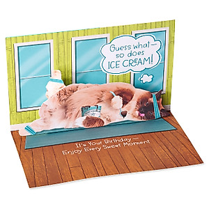 American Greetings Funny Birthday Card for Her (So Does Ice Cream)