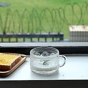 Amzcku Vintage Coffee Tea Cups, Glass Mugs 14 Oz Set of 2 Embossed Glassware with Handle, for Cappuccino, Latte, Cereal, Yogurt, Beverage Hot/Cold, Milk