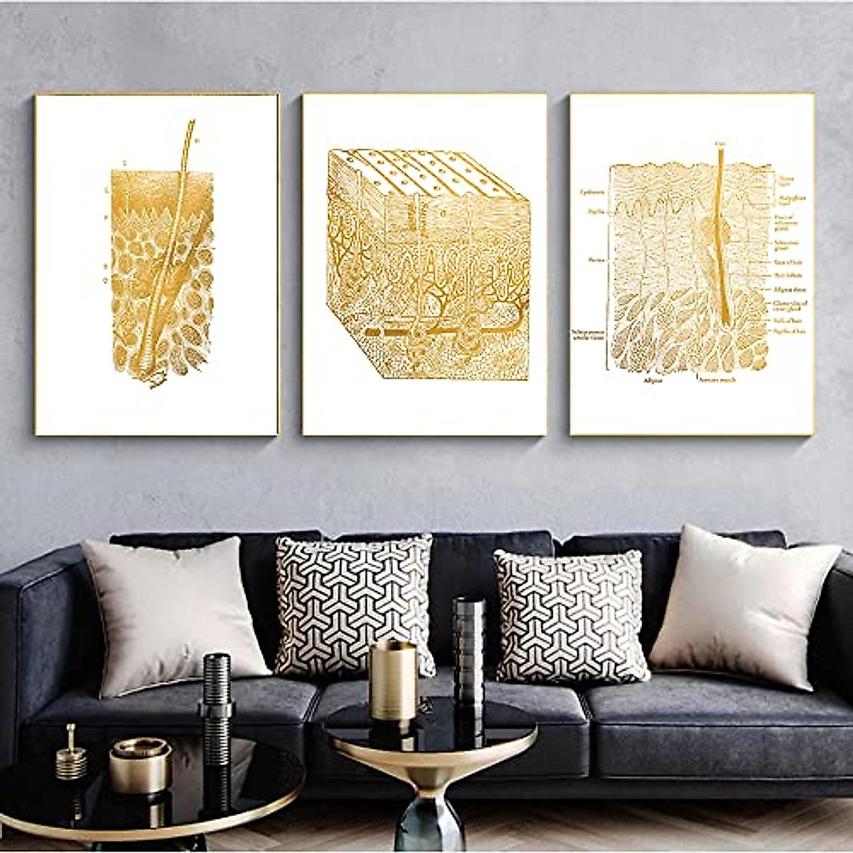 Human Anatomy Posters - Vintage Medical Art Set of 3