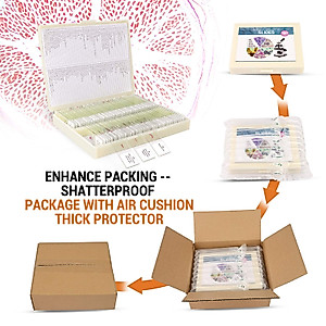 100Pcs Prepared Microscope Slides Set Professional Specimens for Kids Student Homeschool Use