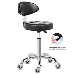 Kaleurrier Swivel Stool Chair Adjustable Height,Heavy Duty Hydraulic Rolling Metal Stool for Kitchen,Salon,Bar,Office,Massage (with Back Rest) (Black)