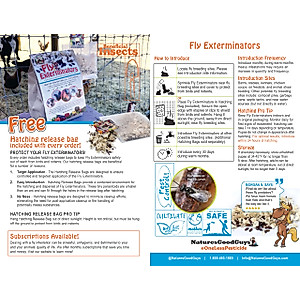 Fly Exterminator 1,000 Size Natures Good Guys