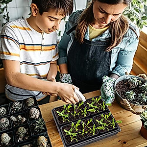 ANPHSIN Plant Growing Trays- 10 Pack 10.6” × 10.6” No Drain Holes Microgreens Growing Trays, Thickened Garden Plant Seed Starter, Indoor Greenhouse Seedling Propagation Trays for Wheatgrass