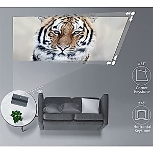 Feilx Mini Projector 2022 Upgraded Portable Video-Projector,3D Projector WiFi Smart Projector Bluetooth Portable Mini Projector Home Theater Projector