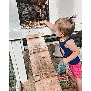 LITTLE FARMER PRODUCTS Chicken Fun-DOO Non-GMO, Soy-Free Chicken Treat | Premium Poultry Meal Worm, Vegetable & Herb Mix (3 lbs)