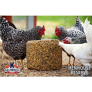 Kalmbach Feeds Henhouse Reserve Supplement Treat Block for Chickens, 20 lb