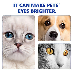 AusuB Pet Gel Eye Drops，Pets Eye Drops，Therapeutic Eye Lubricating Drop for Dog & Cats，Eye Solution for Severe Dry Eyes,Effective Dog Eye Infection Treatment (3Pcs,Blue)