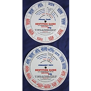 5 Dentition (Tooth Eruption) Guides/Practitioner and Dental Student Exam Study