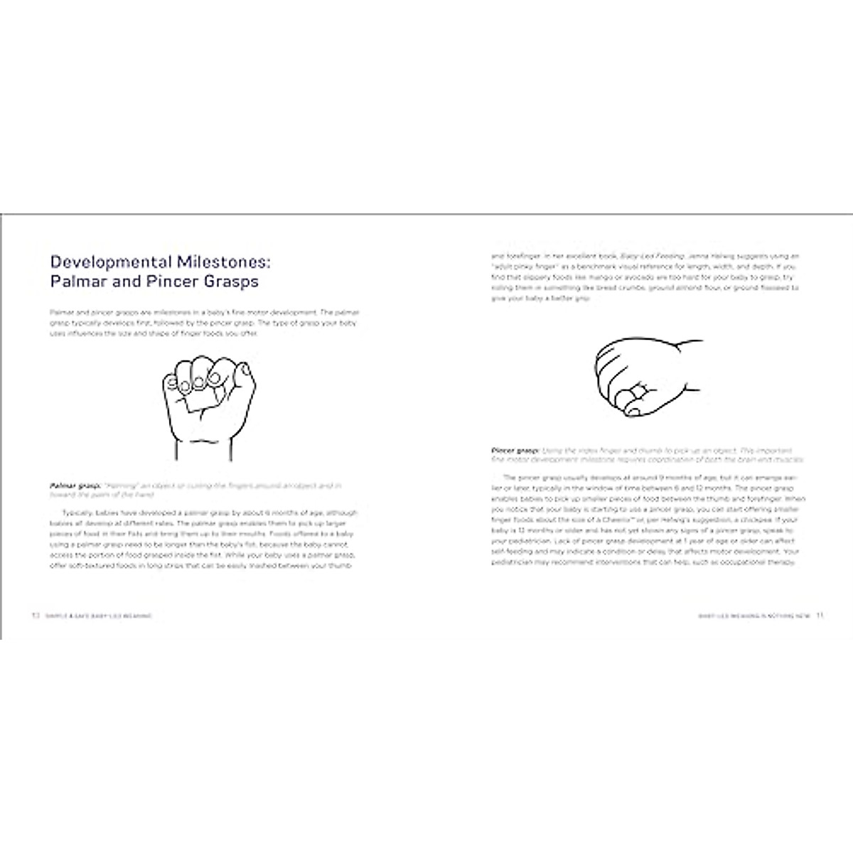 Simple & Safe Baby-Led Weaning: How to Integrate Foods, Master Portion Sizes, and Identify Allergies