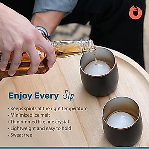 Snowfox Premium Vacuum Insulated Stainless Steel Whiskey Rocks Glass, Set of 2, Old Fashioned, Whiskey, Lowball Glasses, Elegant Home Bartending, Beverages & Cocktails Stay Cold, Black/Gold