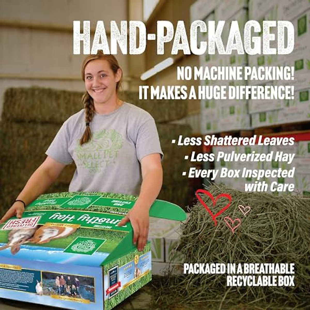 Small Pet Select 2nd Cutting Perfect Blend Timothy Hay Pet Food for Rabbits, Guinea Pigs, Chinchillas and Other Small Animals, Premium Natural Hay Grown in The US, 10 LB