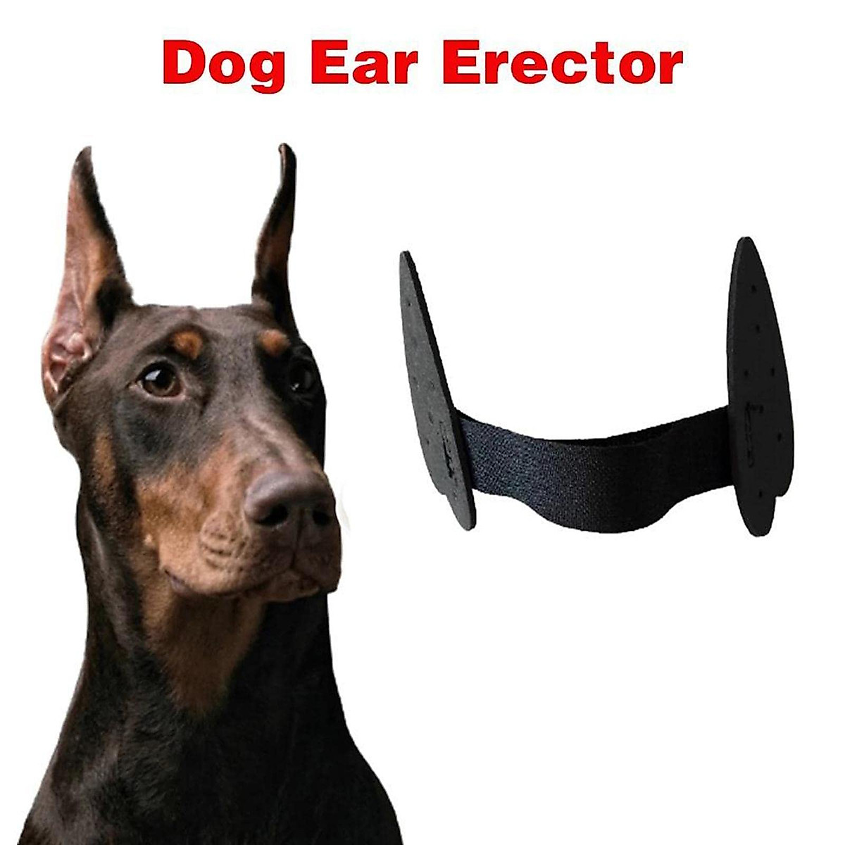 Gazechimp 2X Puppy Ear Support Tools, Dog Ear, Ear Care, Ear Sticker Ear Pet for Small Medium Large Horse German