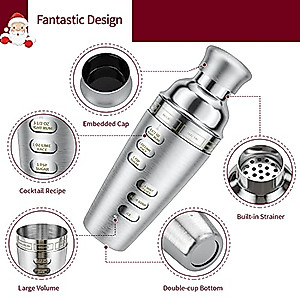 Cocktail Shaker Martini Shaker Set with Recipe, 24 oz Martini Shaker Drink Shaker Drink Mixer Stainless Steel Cocktail Shaker Set Bartender Kit