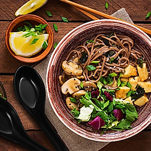 Hushee 100 Pcs Asian Soup Spoon Chinese Soup Spoons Bulk Large Melamine Noodle Ramen Spoons Reusable Japanese Soup Spoon Wonton Rice Dumpling Pho Spoon with Hook for Home Kitchen Restaurant (Black)